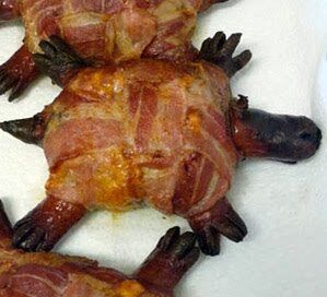 Make Animals From Your Ground Sirloin; Turtle Burgers – Saved By Love ...